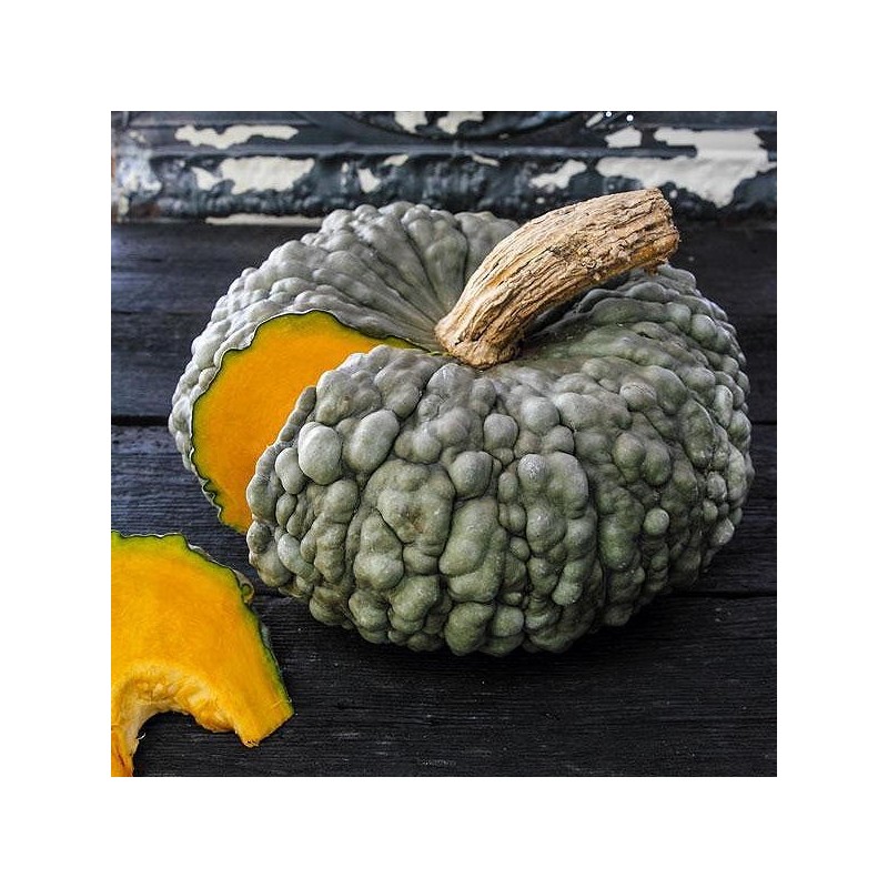 COURGES & POTIRONS