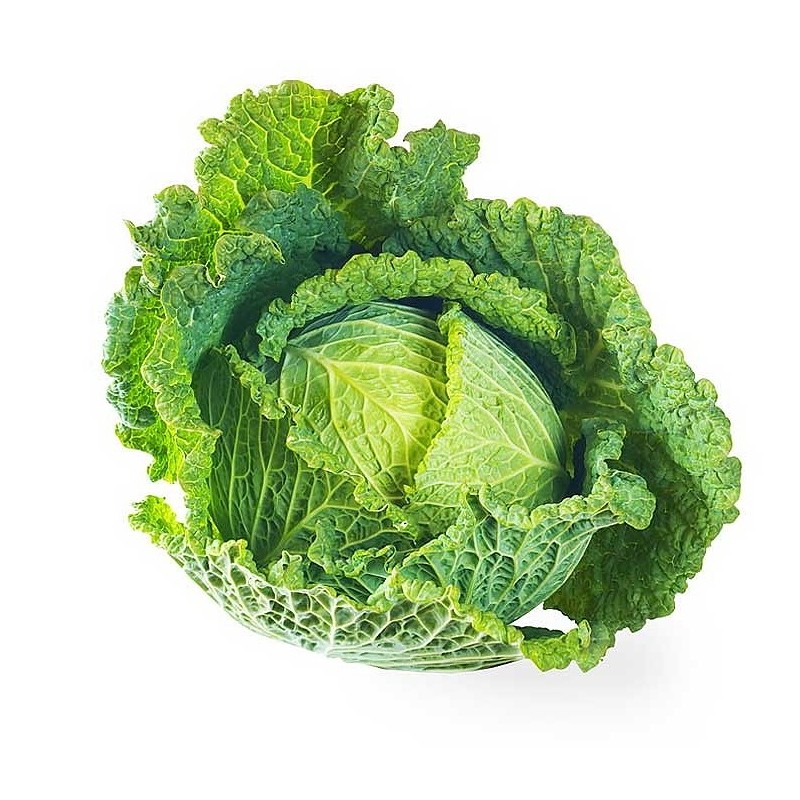 CHOU POMME FRISE PE ALTO - LISBOA